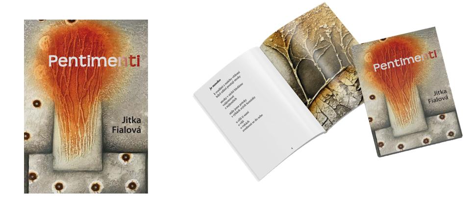 pentimenti | cestadolesa